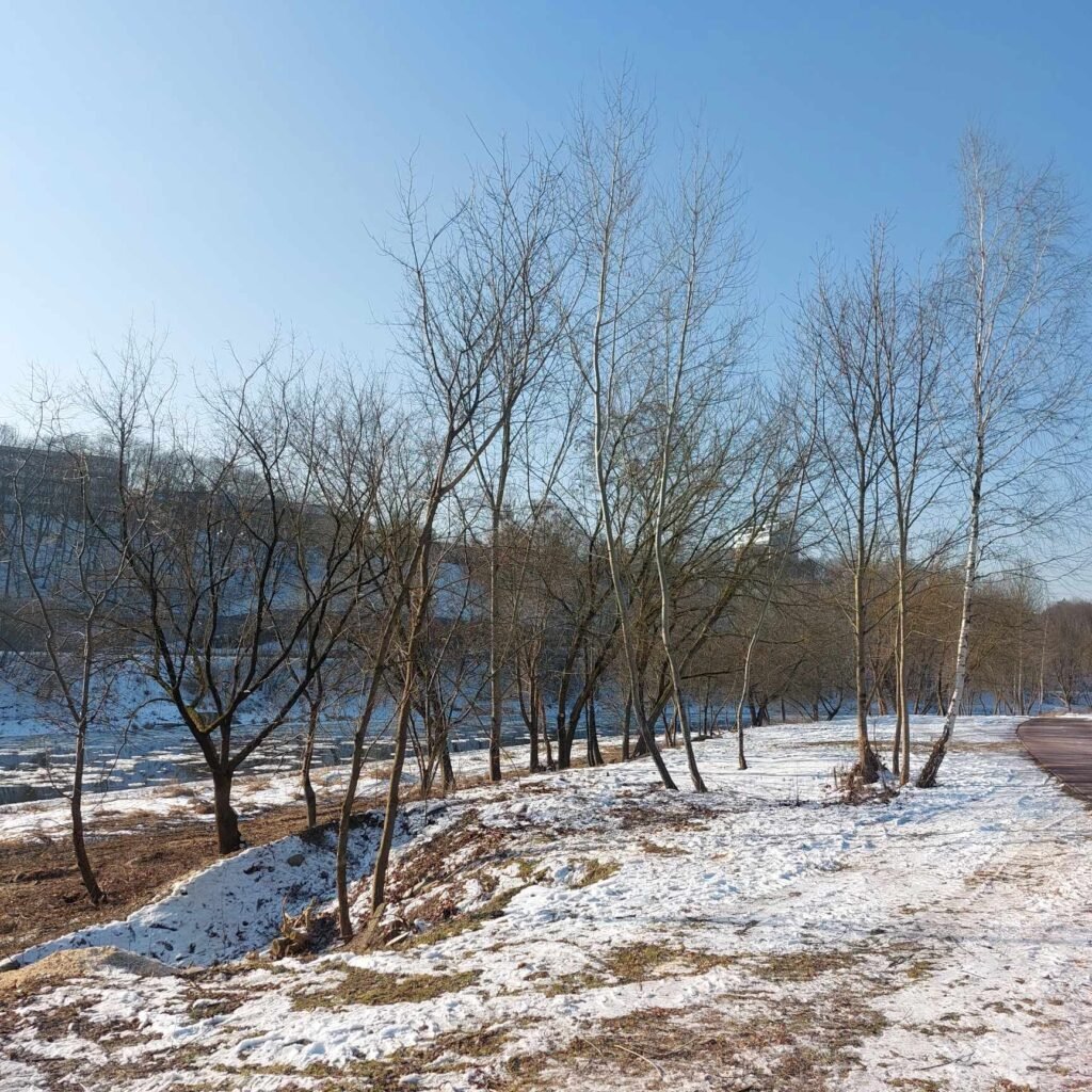 Neries pakrantėje sostinės Žvėryne bus kuriama žalioji erdvė – SA.lt